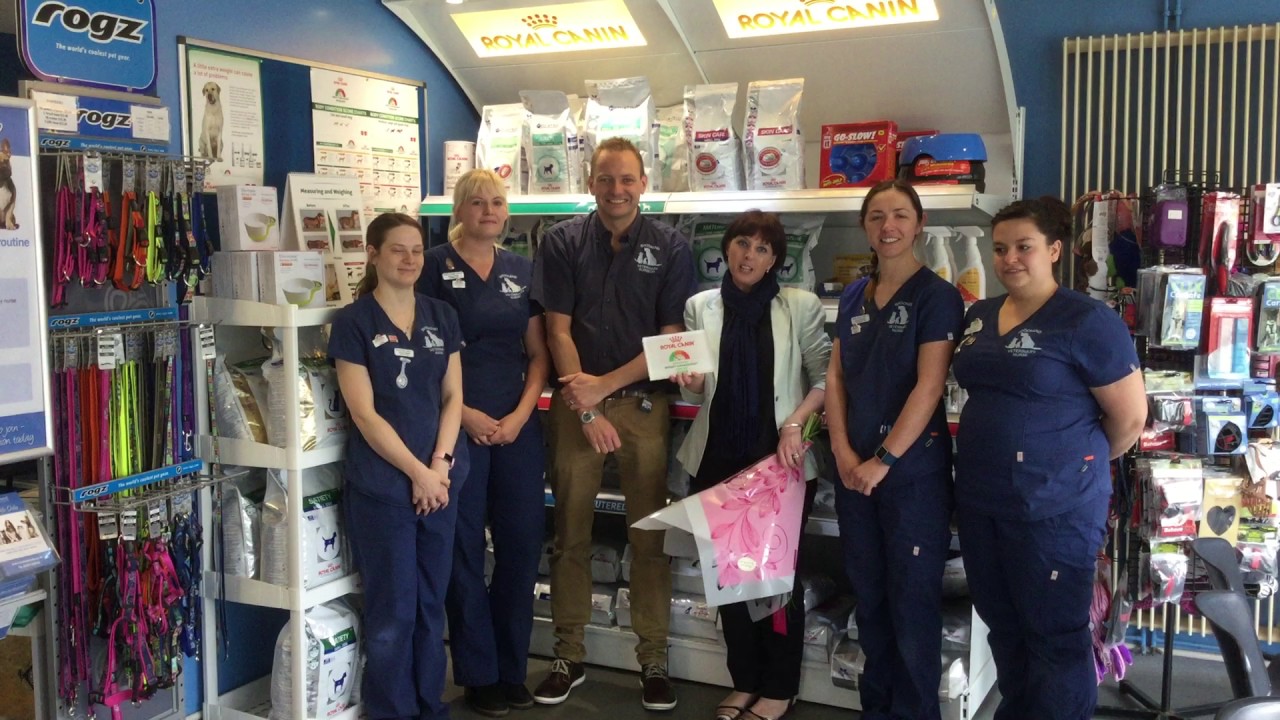 Brookend Vets Weight Management centre award! - YouTube