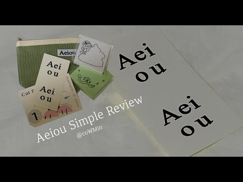 아에이오우 파우치와 포스트잇 아주아주 심플한 리뷰 | 카우민 coWMin - YouTube