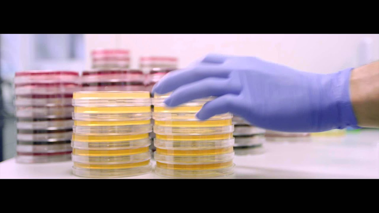 DENTAID Research Center: Donde empieza la innovación en salud bucal ...