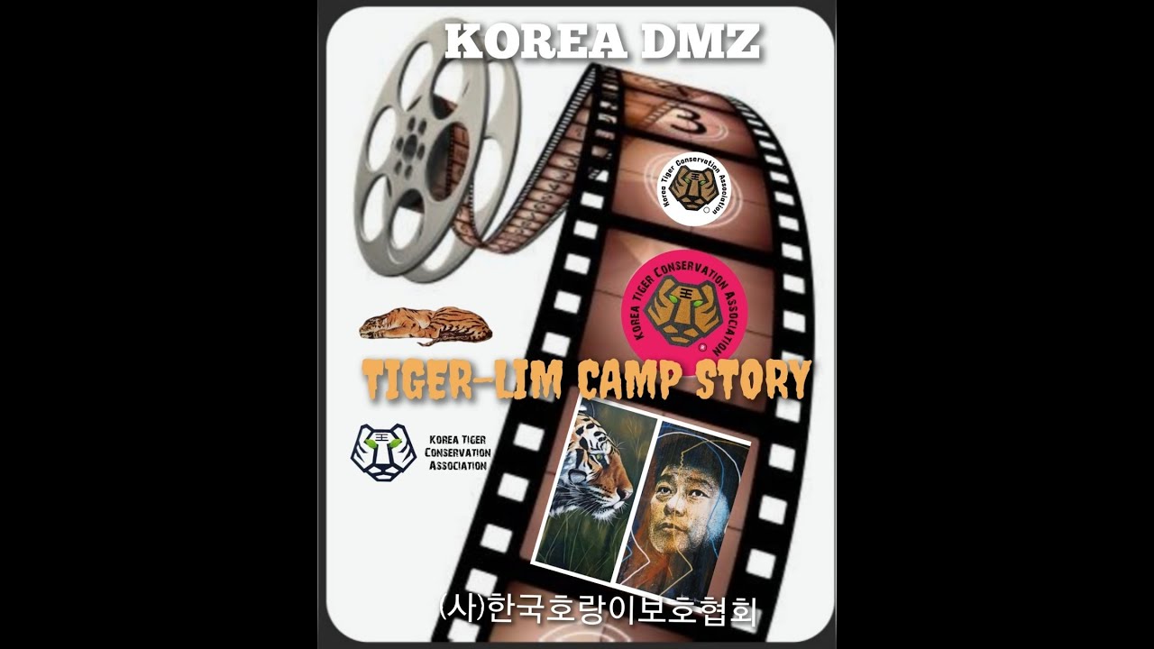 TIGER-LIM CAMP STORY - YouTube