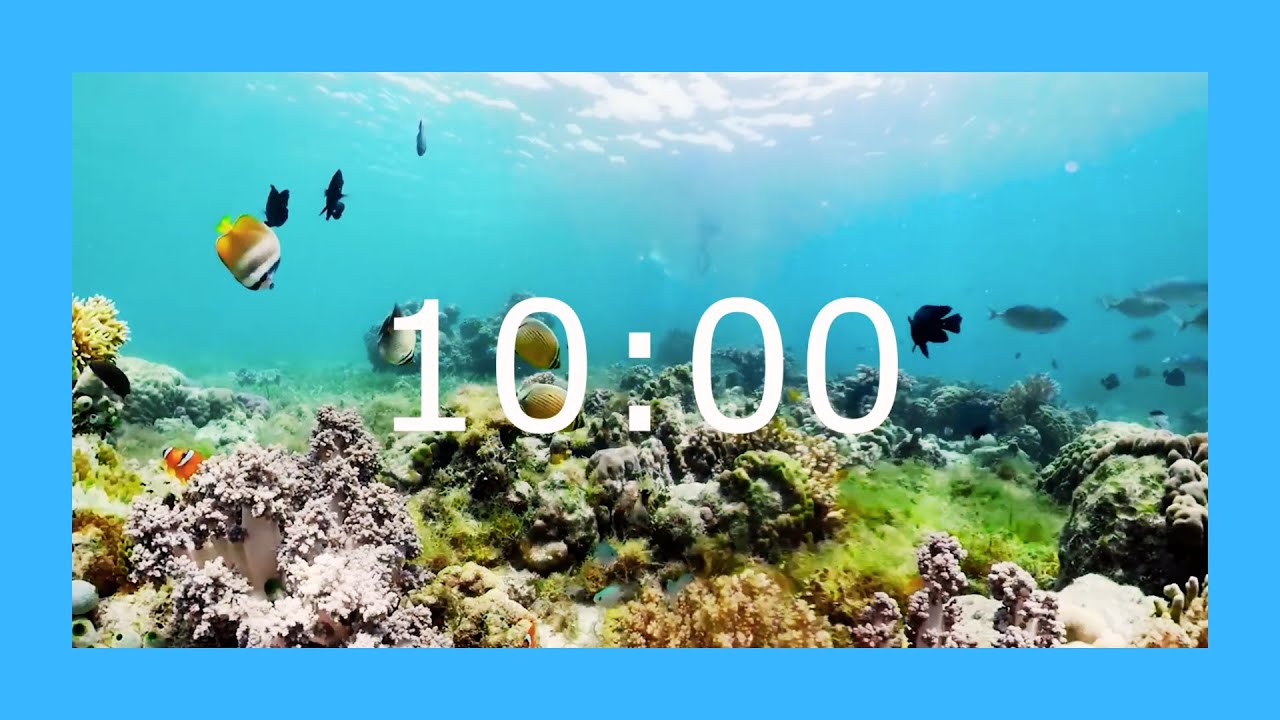 10 Minute Timer with Relaxing Music • Relax and Enjoy - YouTube