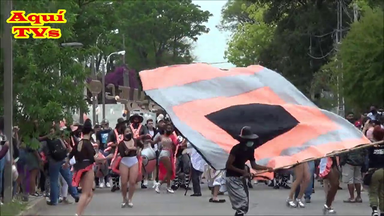 DANZA NEGRA 14/11/2020 - YouTube Music