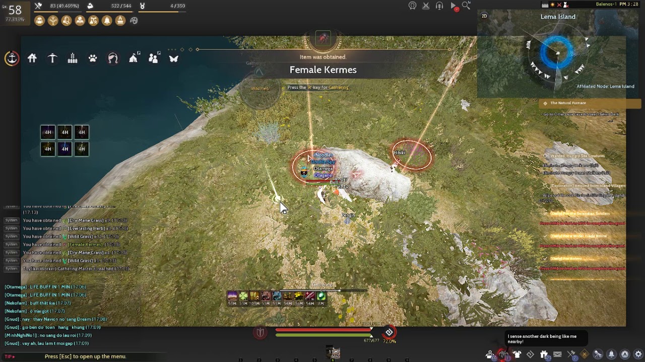 Secret Wild Herb rotation (Lema Island) | Black Desert Online - YouTube