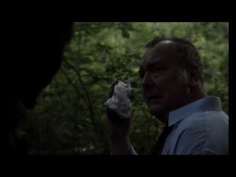Gebratene Tauben (Ausschnitt 7) - YouTube