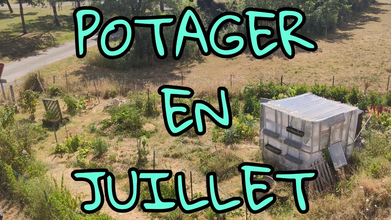 VISITE DU POTAGER EN JUILLET 2020 - YouTube