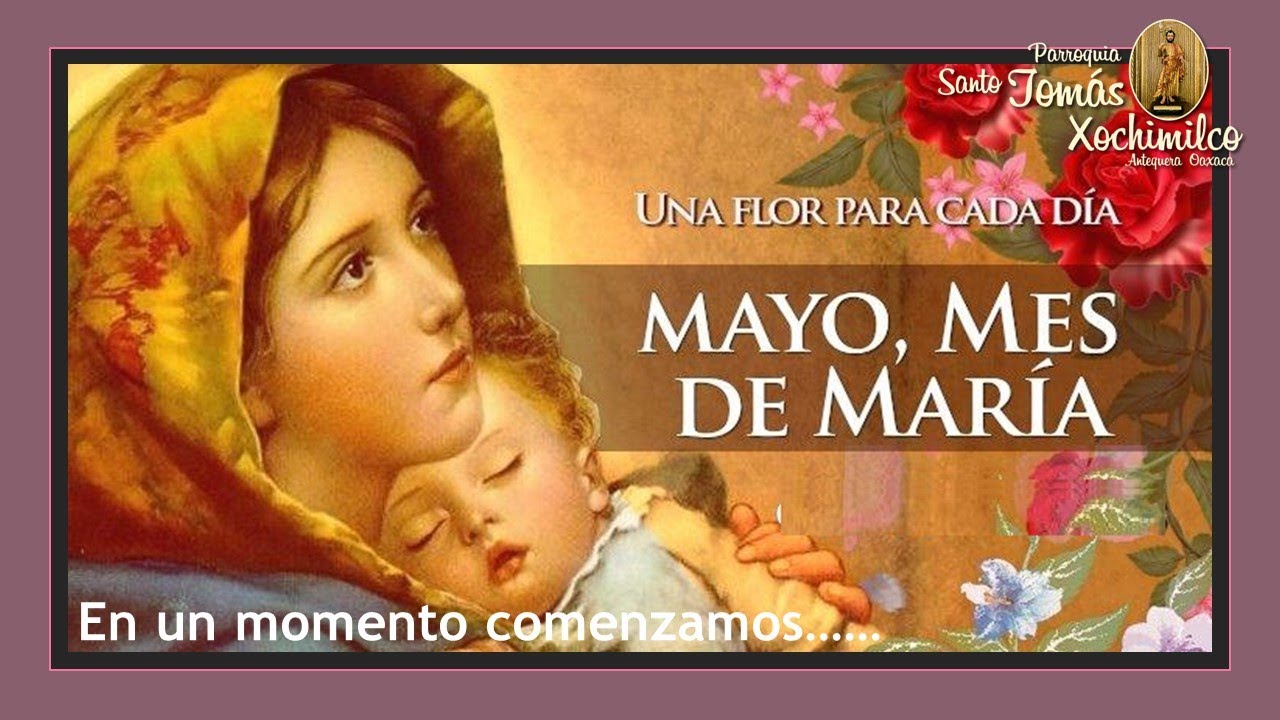 🤍🙏OFRECIMIENTO DE FLORES A MARIA SANTISIMA Y SANTA MISA, LUNES 13 DE ...