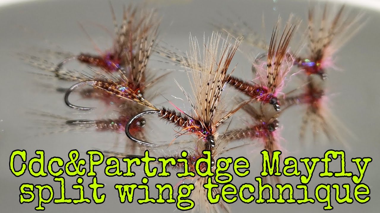 CDC&Partridge Mayfly (Split Wing Technique) - YouTube