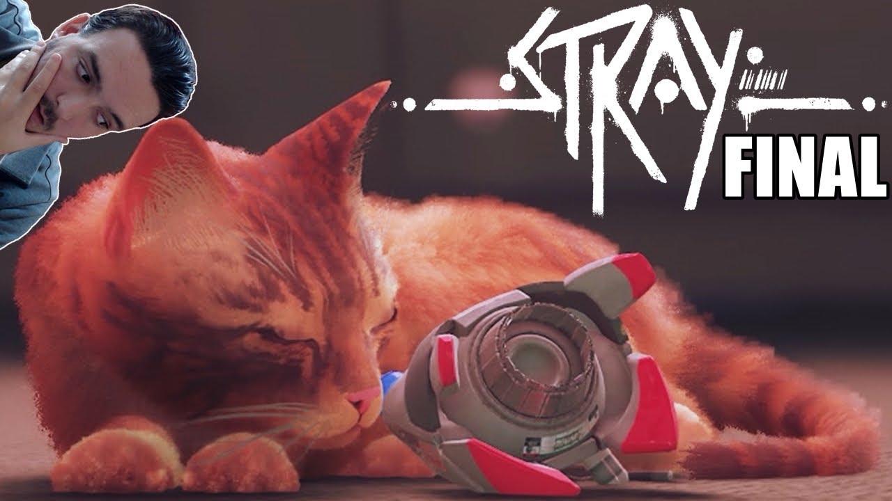 O FINAL - STRAY #17 - YouTube