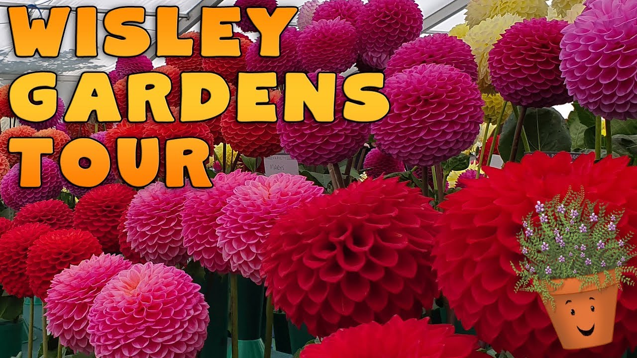 RHS Wisley Gardens Tour, September 2019 - YouTube