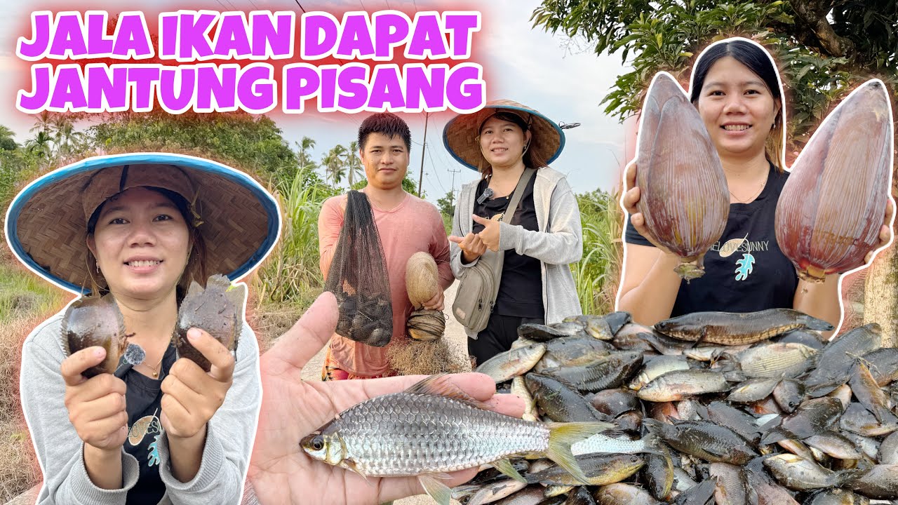 HASIL JALA DAPAT BANYAK IKAN SEPAT DAN ADA IKAN JENIS BARU - YouTube