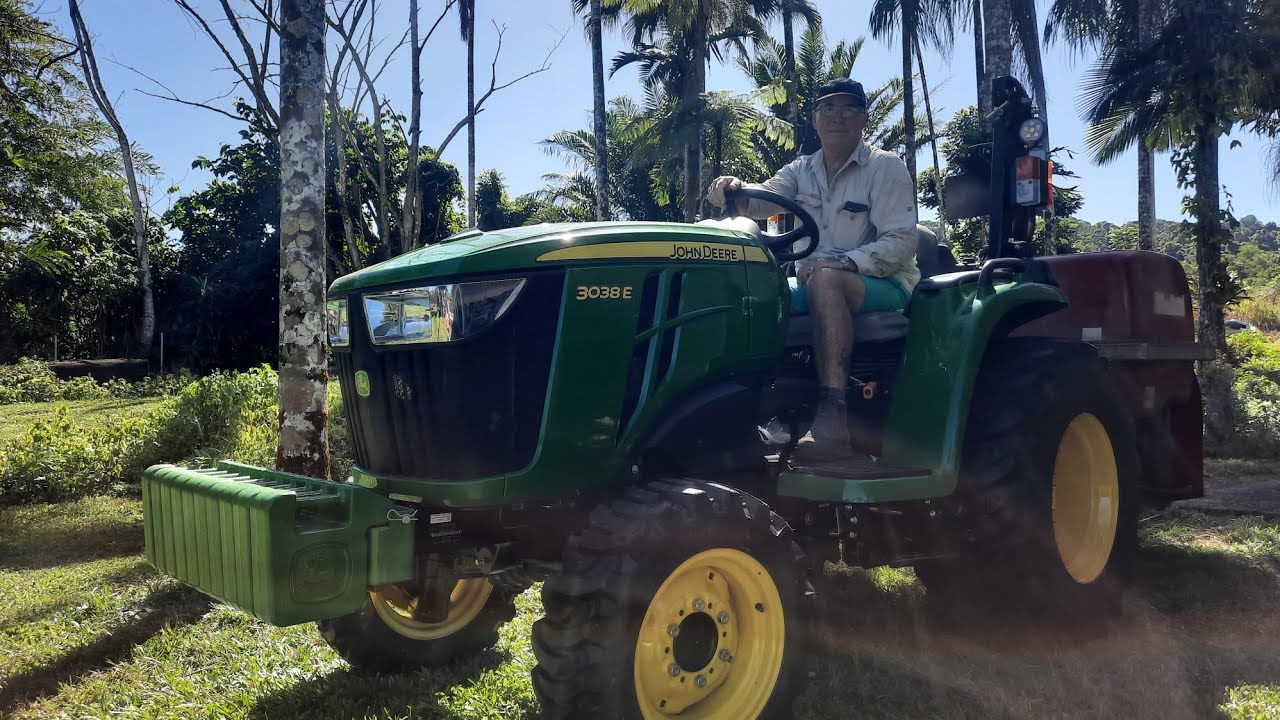 Foliar spraying Jackfruit trees | pruning | Snakes alive! 🐍 - YouTube