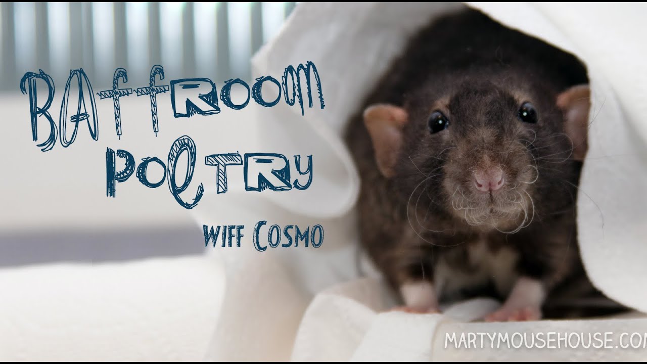 Let’s play Dragon Warrior IV 56 —Necrosaro’s palace - YouTube