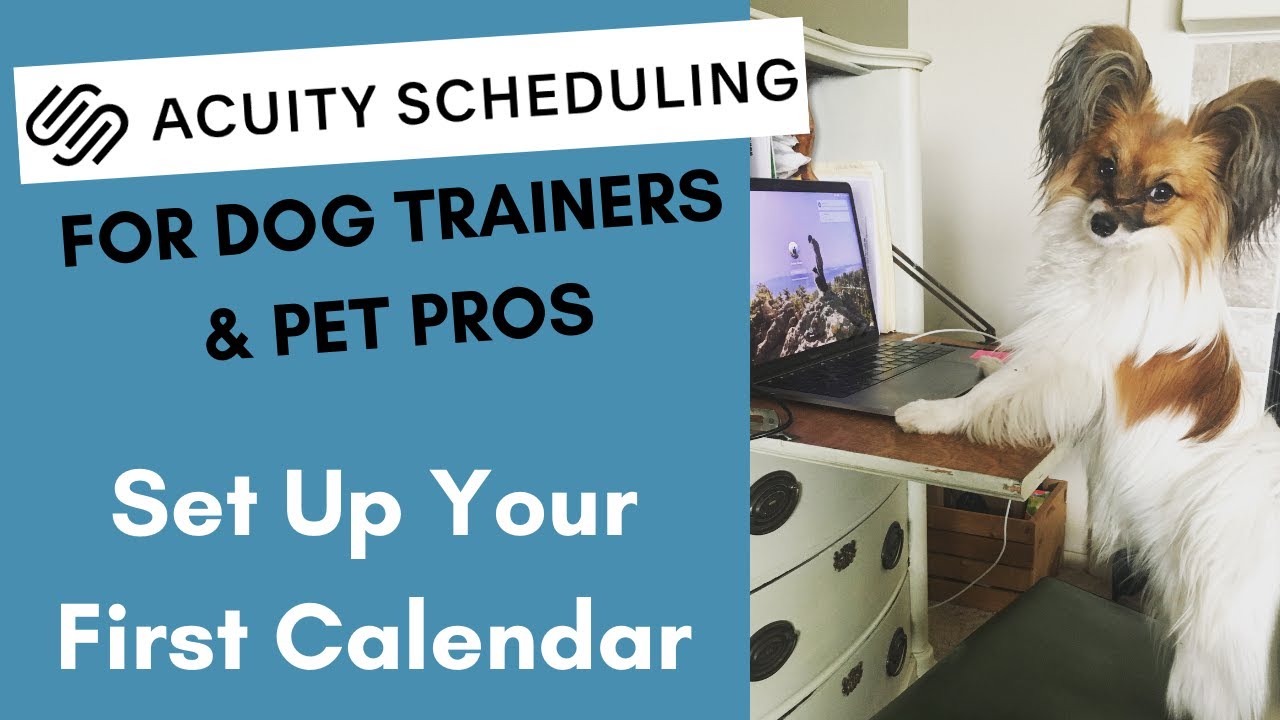 Acuity Scheduling Calendar Set Up - for Dog Trainers & Pet ...