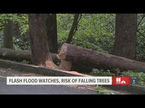 Flash flood watches, risk of fallen trees precede major storms - YouTube