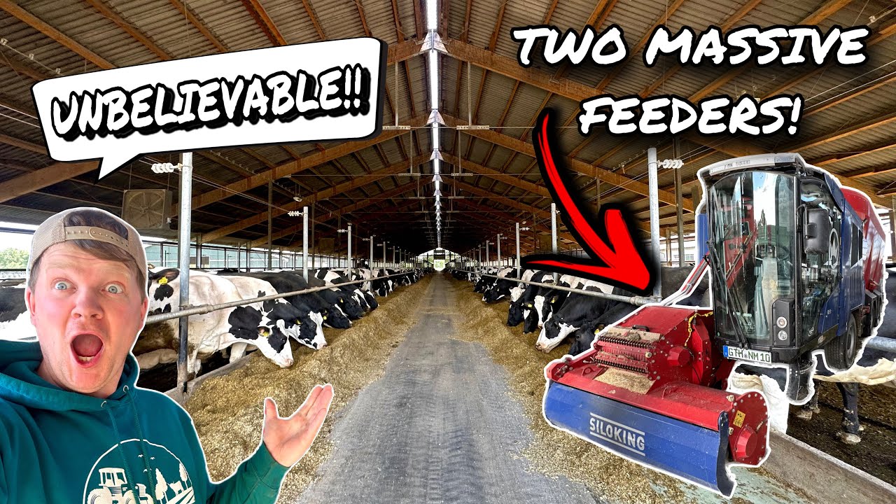 THE WORLD'S BEST RUN FARM!? 800 COWS!... 1 PERSON!... INCREDIBLE! - YouTube