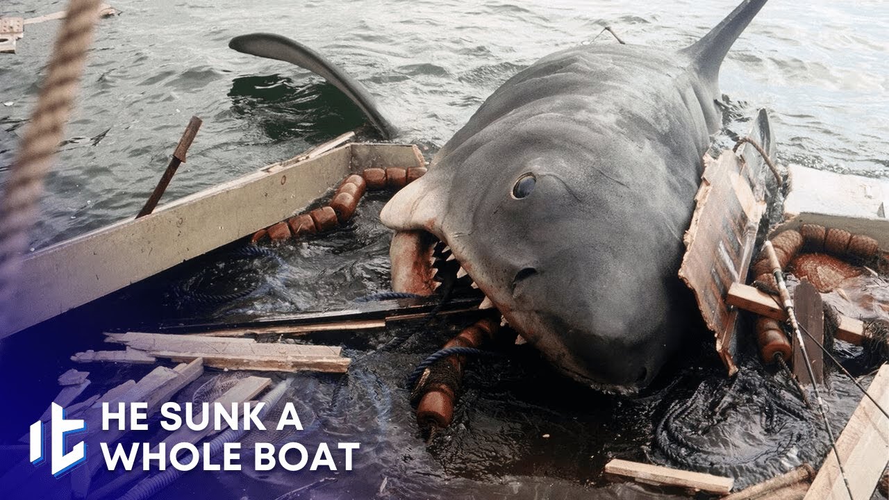 Top 5 Outrageous Animal Attacks Caught On Camera - YouTube