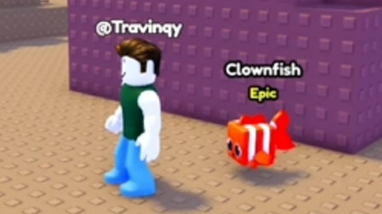 Find the Pets - Where to Find the Clownfish (Roblox) - YouTube