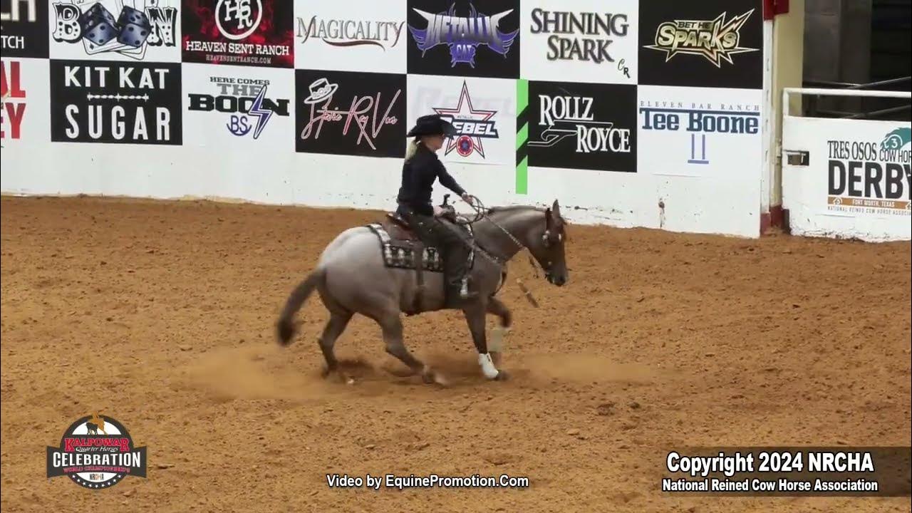 Martinis Bet 15 shown by Birgit Self 2024 Celebration of Champions (NP Bridle, prelims) - YouTube