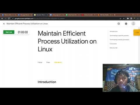 Maintain Efficient Process Utilization on Linux - Day 44 - YouTube