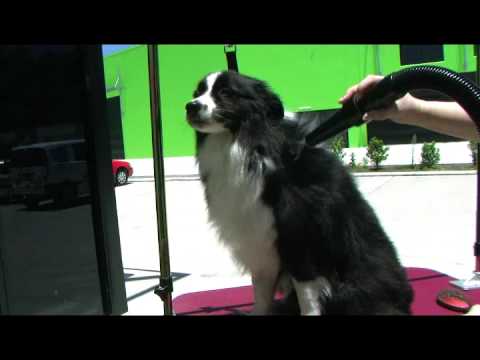 The BARF Shop Hydrobath & Grooming Supplies - YouTube