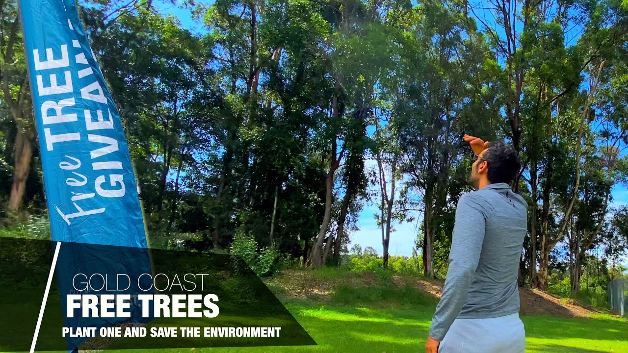 How to Get FREE Trees and Save the Environment | City of Gold Coast ...