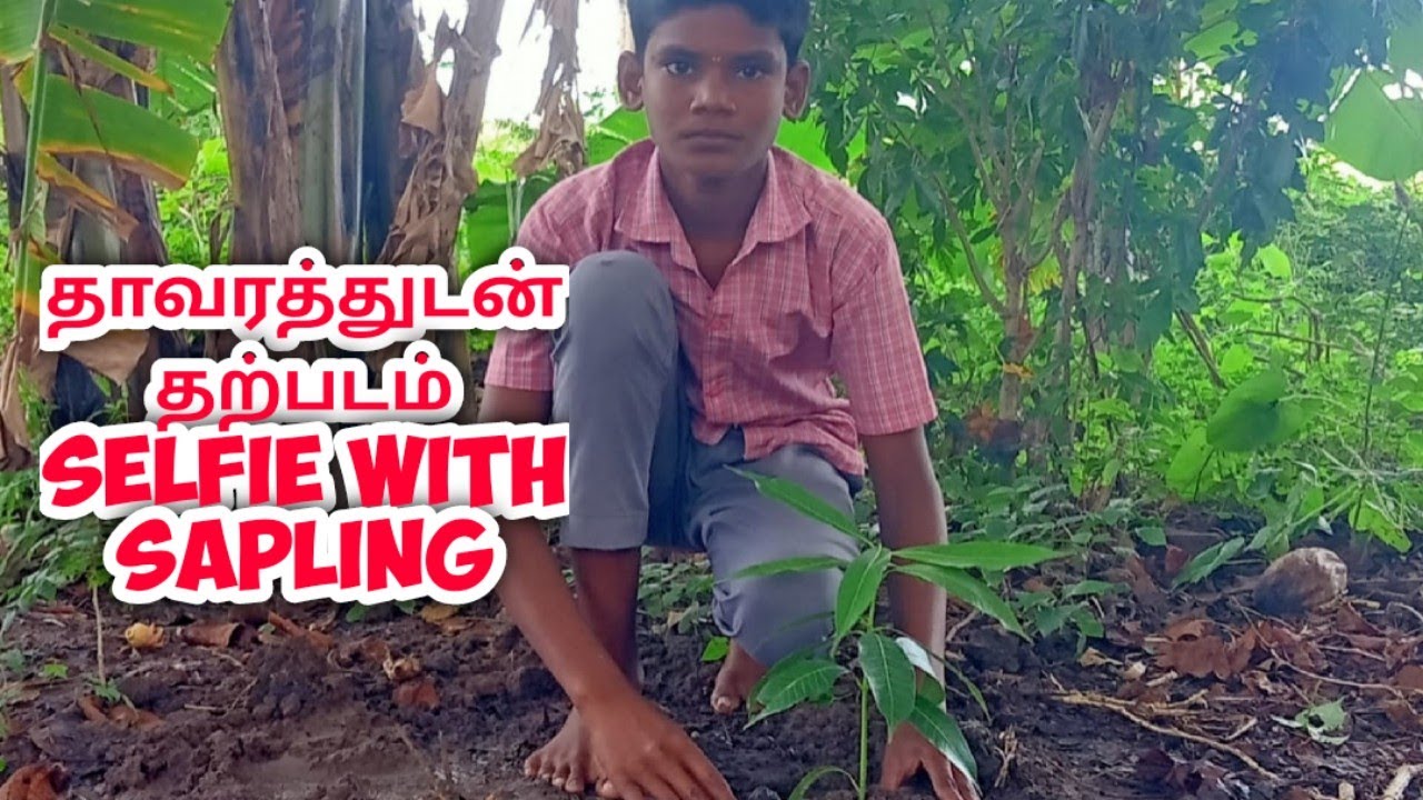 தாவரத்துடன் தற்படம் SELFIE WITH SAPLING - YouTube