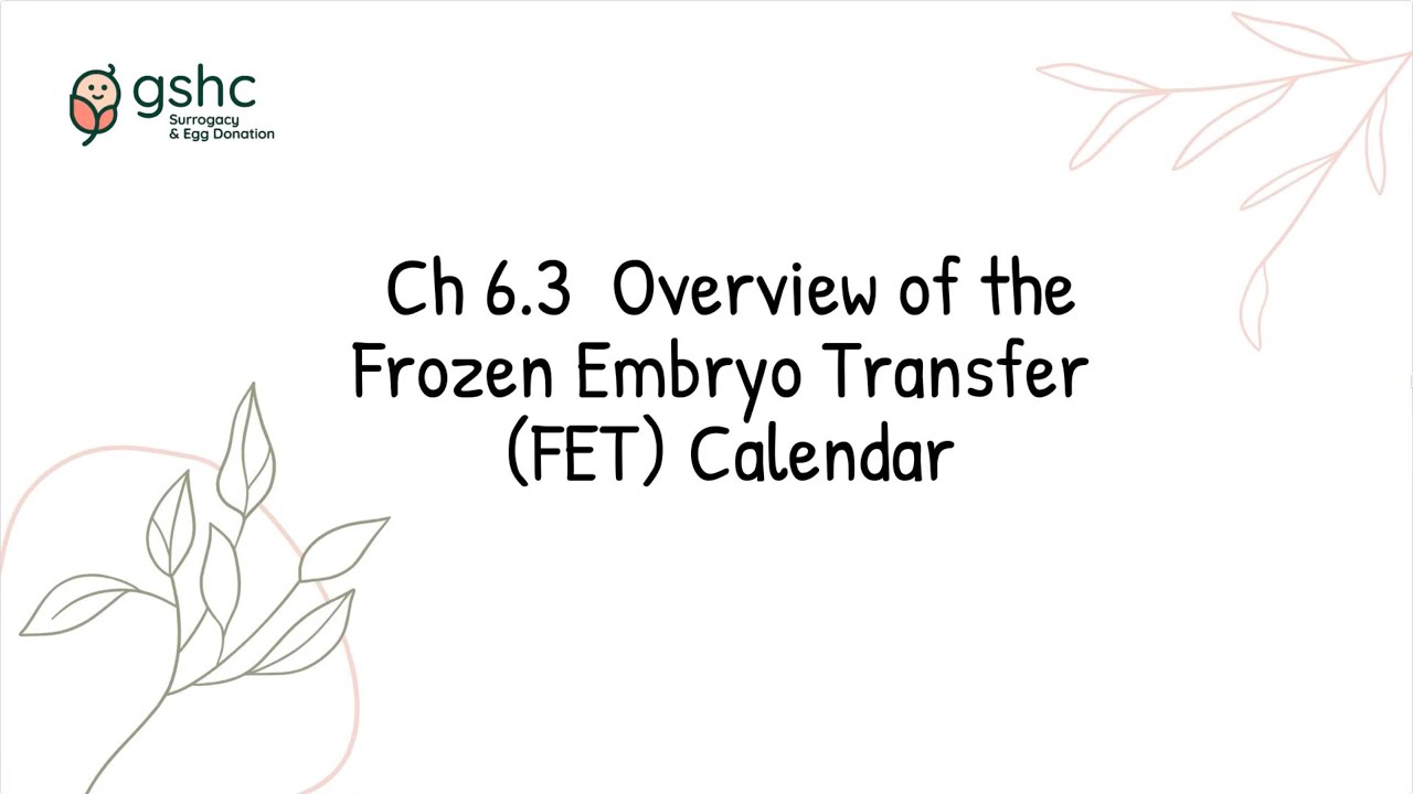 Frozen Embryo Transfer Explained | Step-by-Step FET Process ...