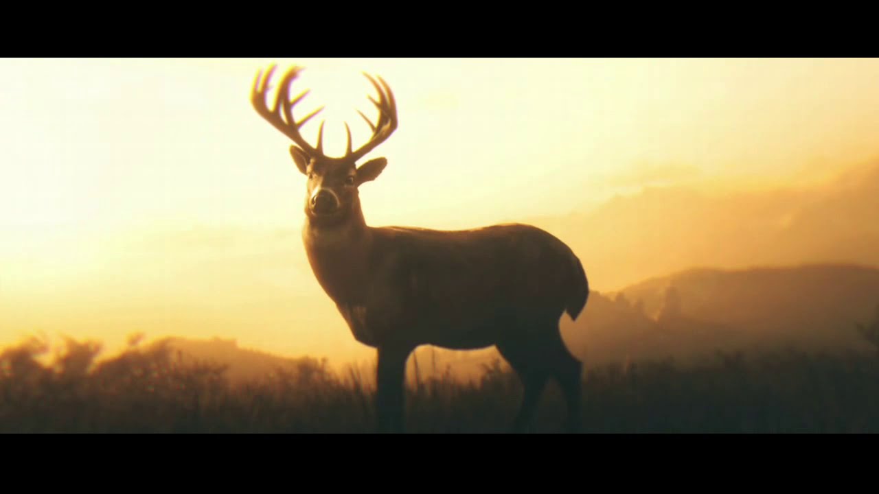 RDR2 May I Stand Unshaken High Honor - YouTube