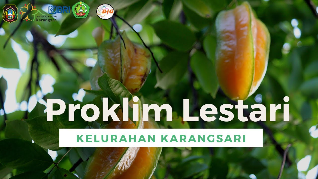 Profil Program Kampung Iklim (Proklim) Lestari Kelurahan Karangsari ...