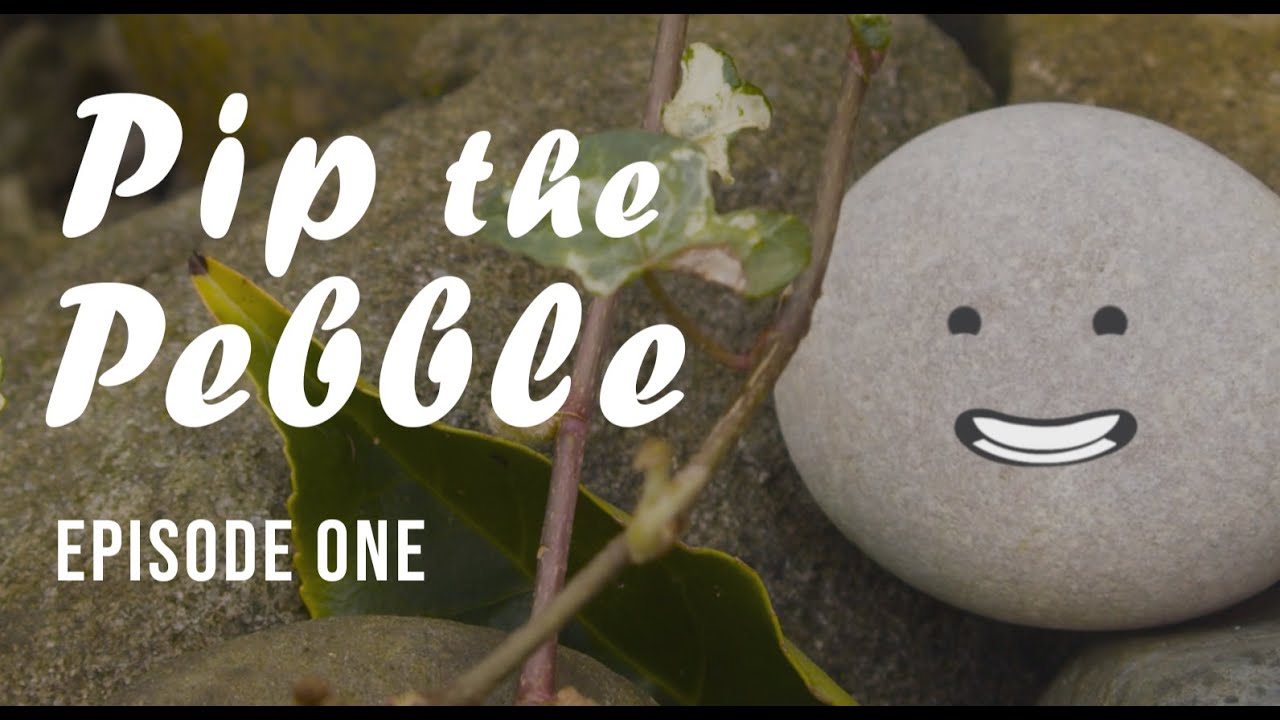 Pip The Pebble | Episode 1: Introductions - YouTube