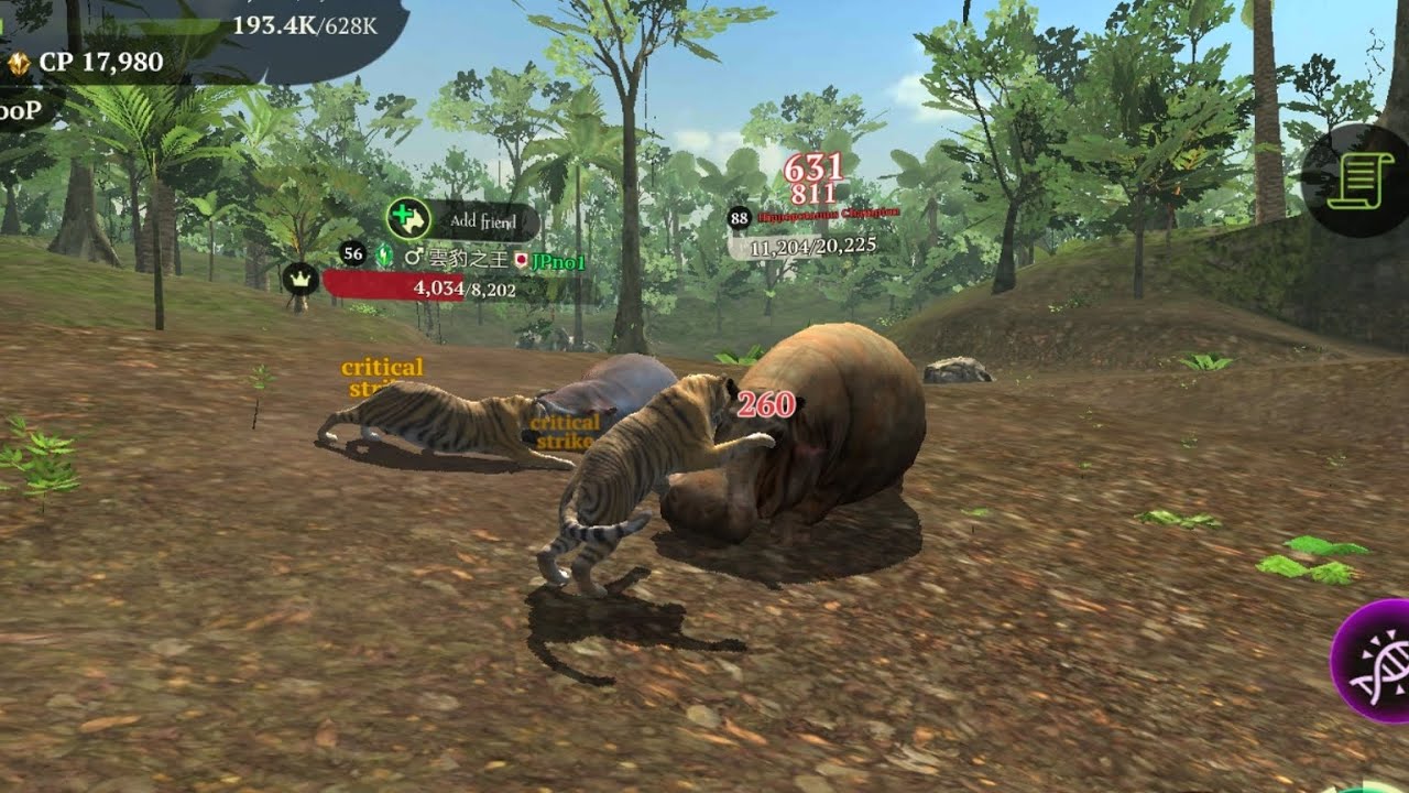 The Asian Tiger Hunt Nonstop - YouTube