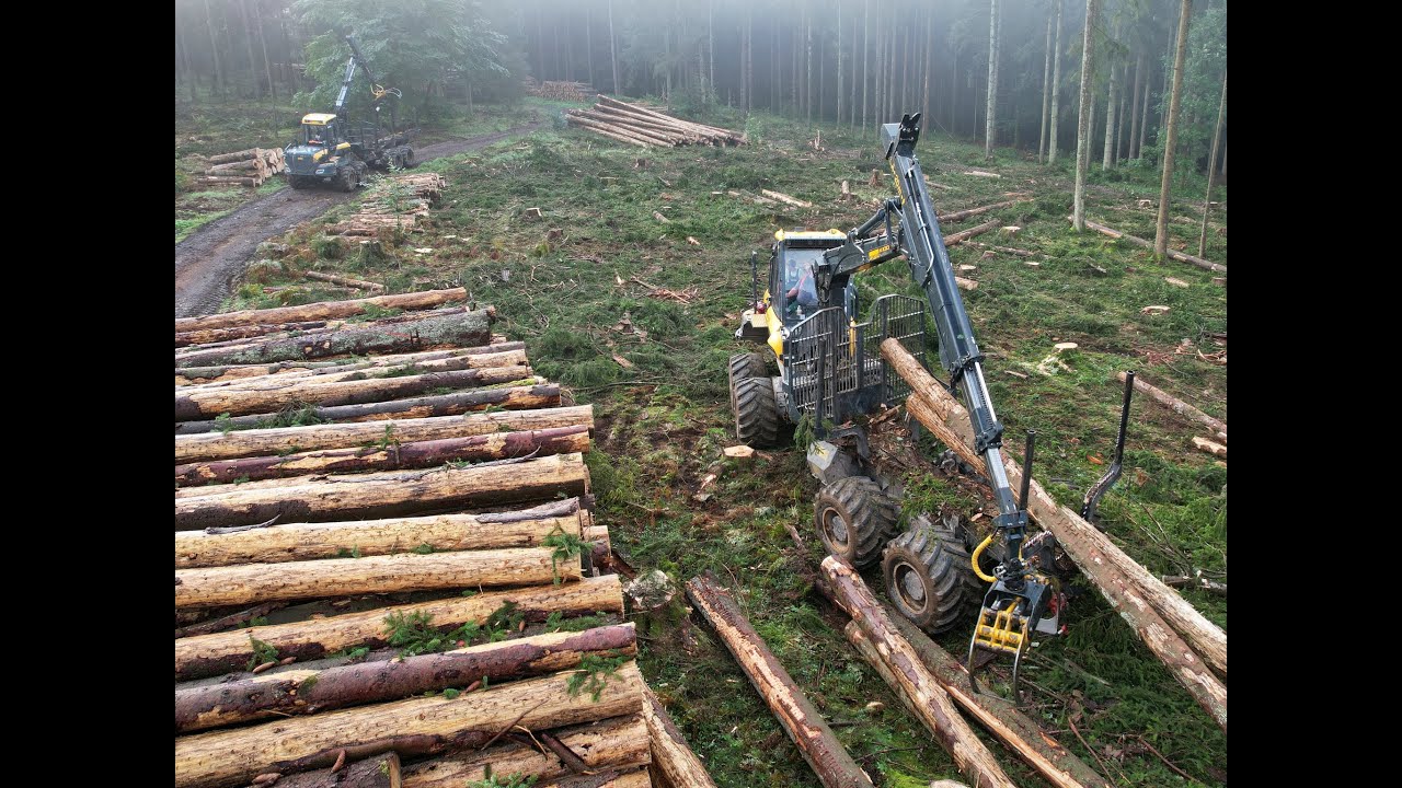 🌲4K| 2x Ponsse • Bison & Buffalo • ForwarderAction • Loggingmachines ...