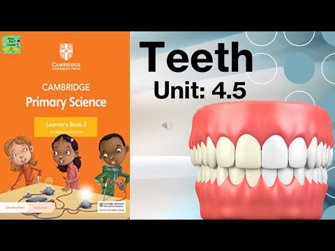 Cambridge primary science Unit: 4.5| Teeth| learners book| Science ...