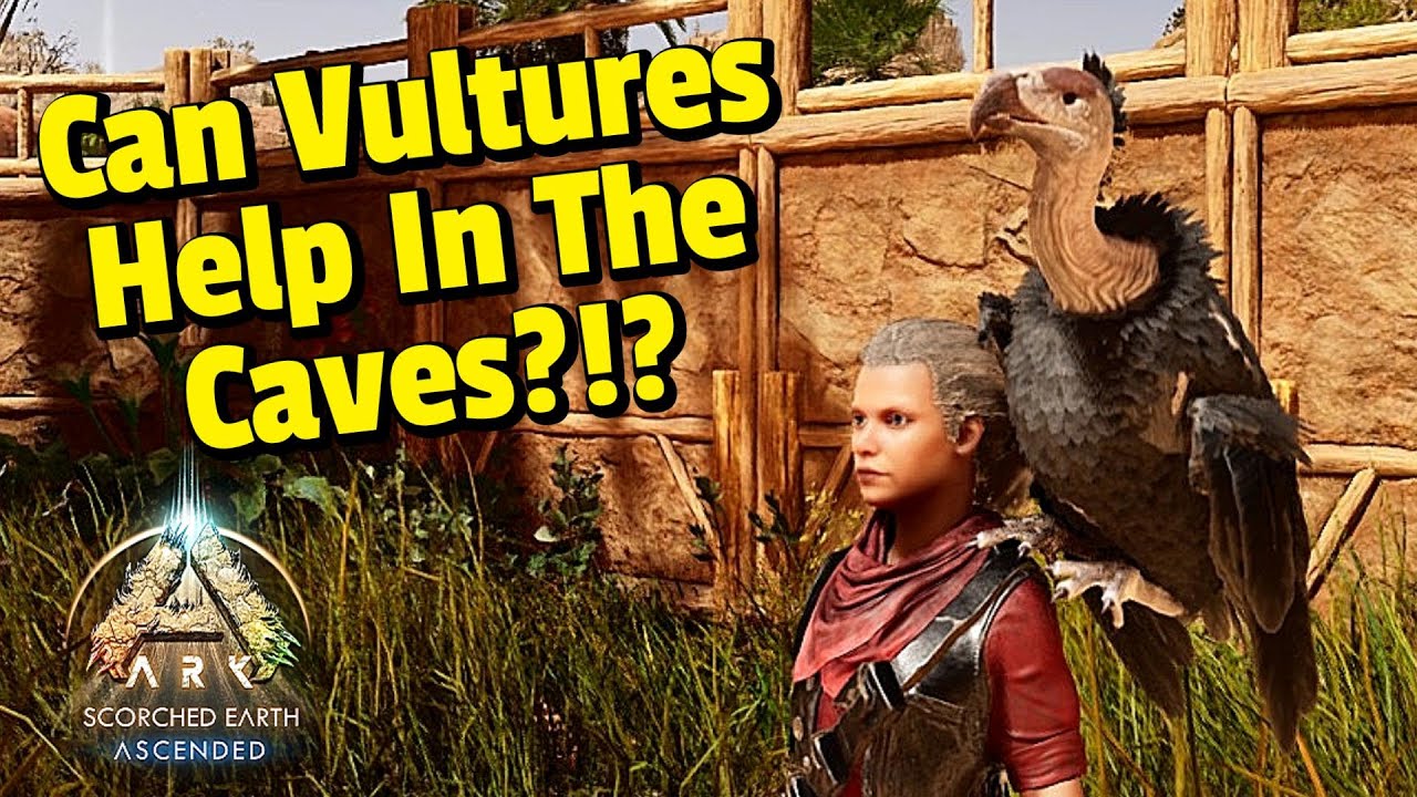 Leveling Up Vultures So They Can Help Out In The Caves - Scorched Earth ...