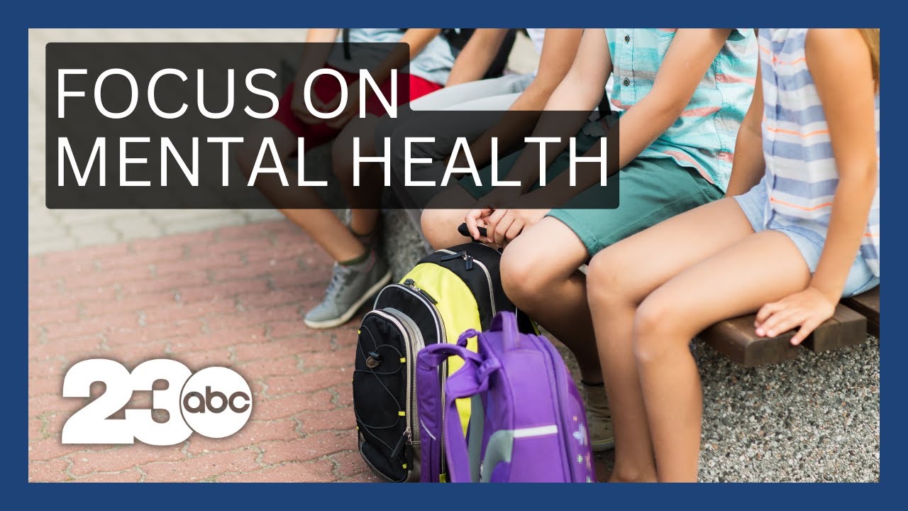 New plan aims to address student mental health crisis - YouTube