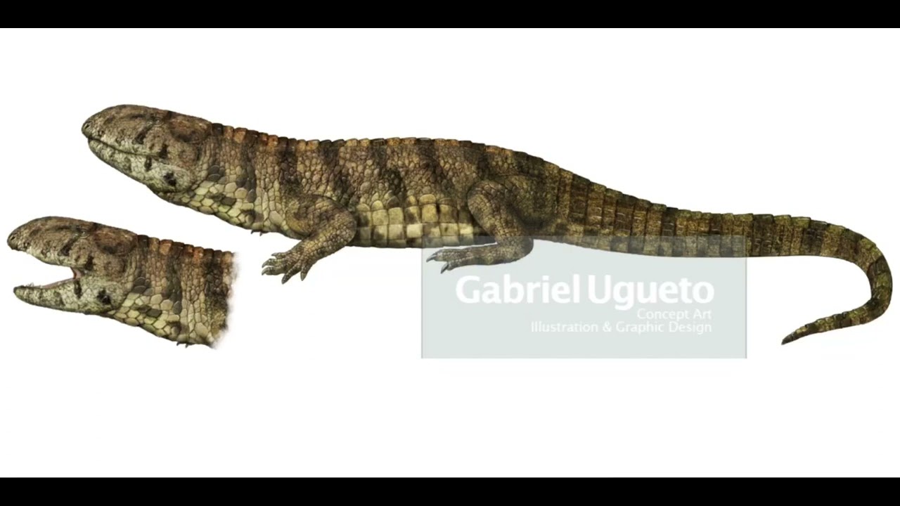 Revueltosaurus Growls - YouTube