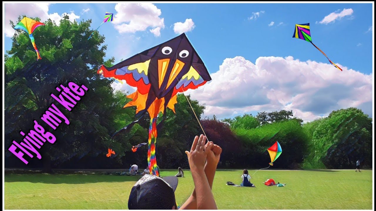 Learning to Fly my huge monster daddy long leg kite| Kid's fun| Easy ...