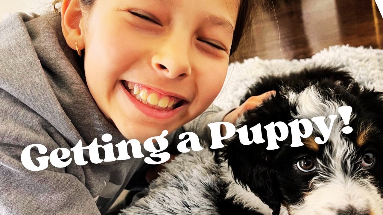 GETTING A DOG! Get Ready With Me! - YouTube