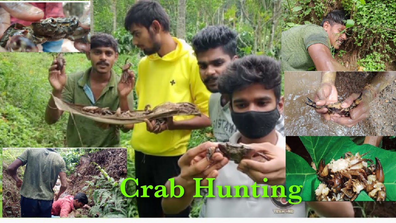 crab hunt in stream with bare hands|Crab hunting 🦀 - YouTube