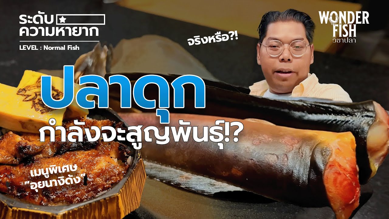 ปลาดุกกำลังจะสูญพันธุ์ จริงเหรอ!? #wonderfish #วิชาปลา - YouTube