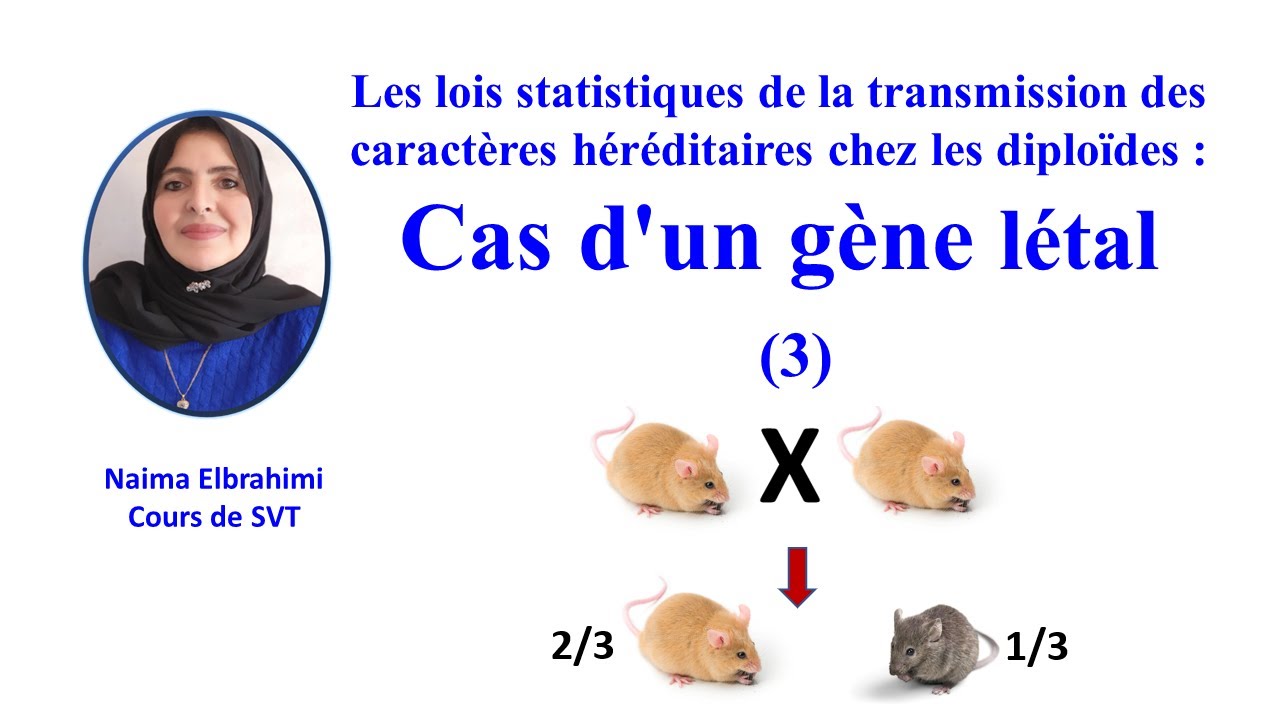 SVT-Bac-(Biof) Les lois statistiques de la transmission des caractères ...