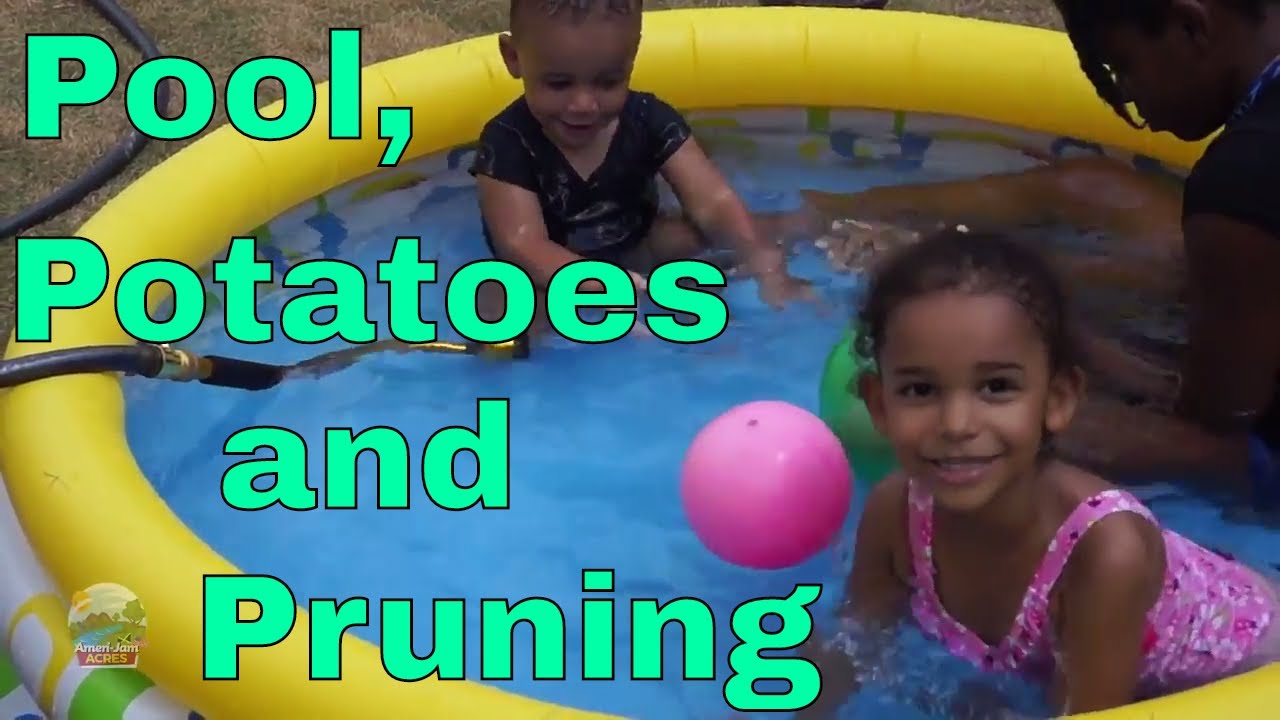 Pool, Potatoes and Pruning - YouTube