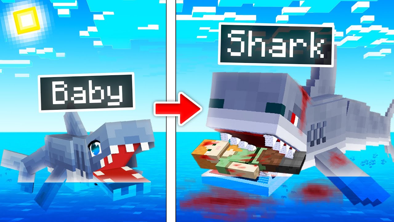 I Fooled My Friend as a SHARK in Minecraft - YouTube