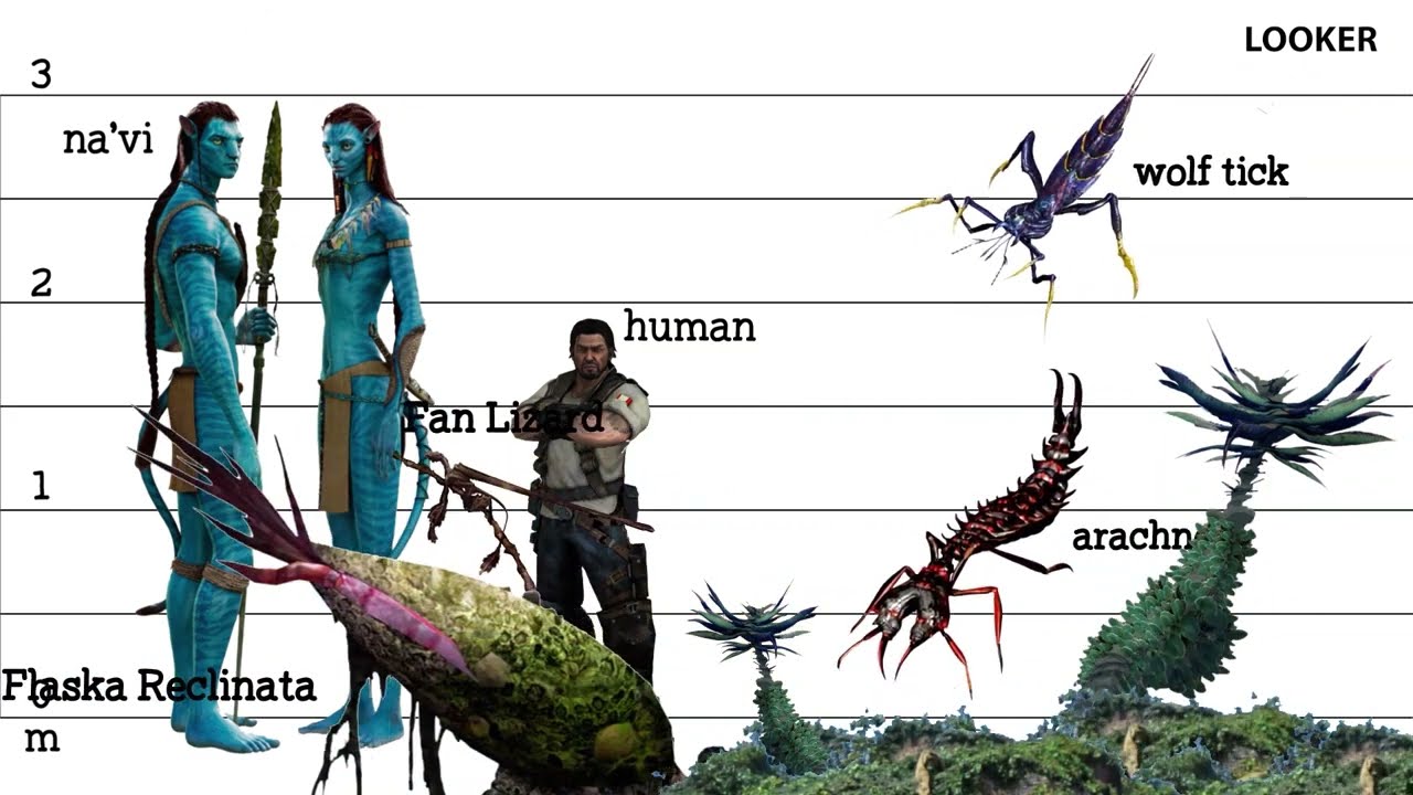 Avatar Image Size - Infoupdate.org