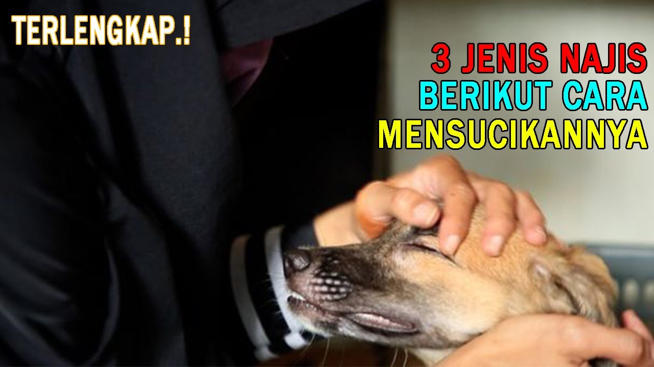 LENGKAP.!! Tiga Jenis Najis dan Cara Mensucikannya - YouTube