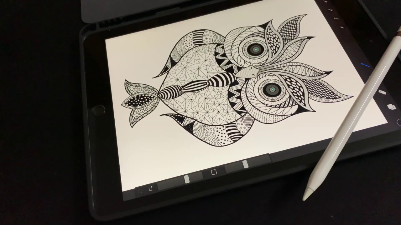 How To Doodle An Owl Illustration On Procreate : Process Video ...
