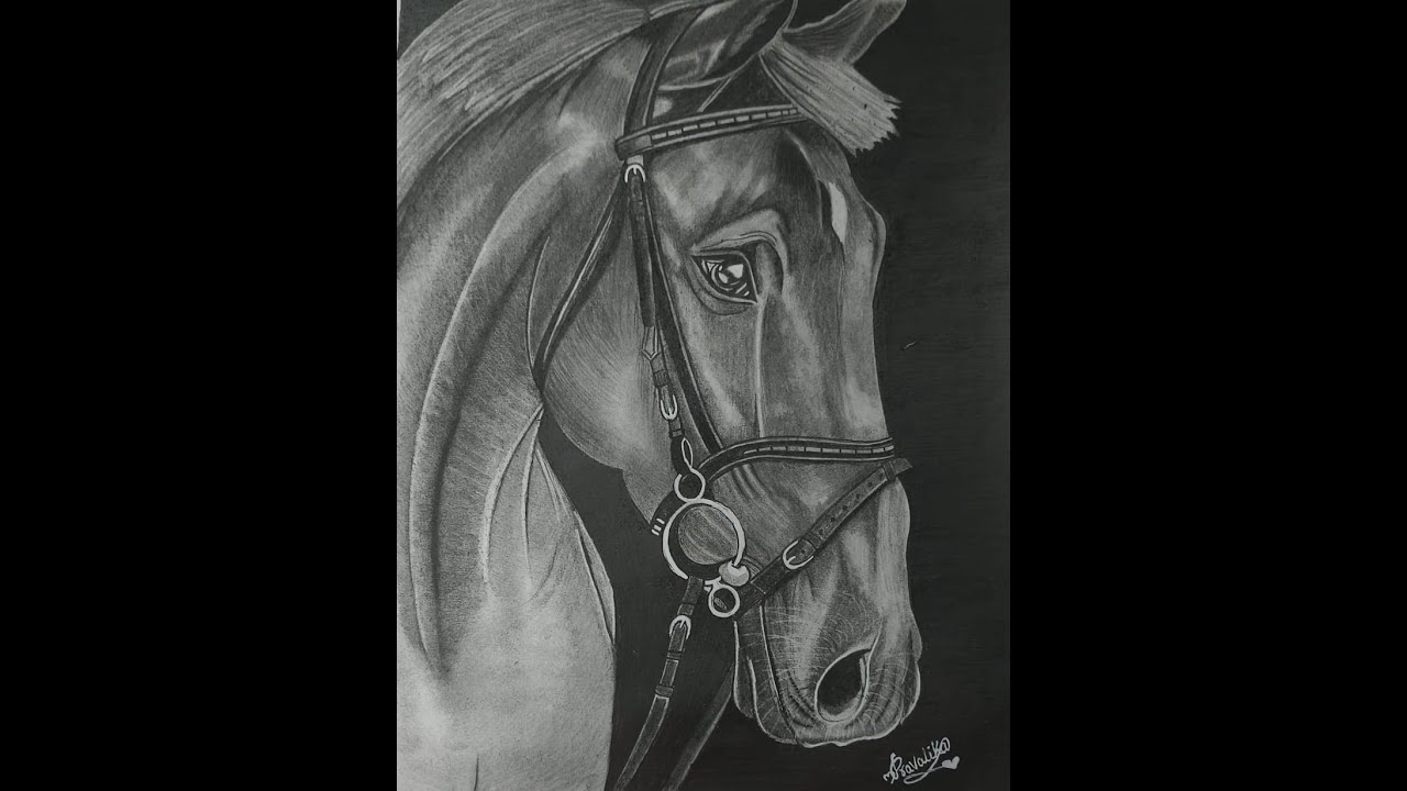 The Beauty of Equine Art | Hyper realistic Horse soul through pencil ...