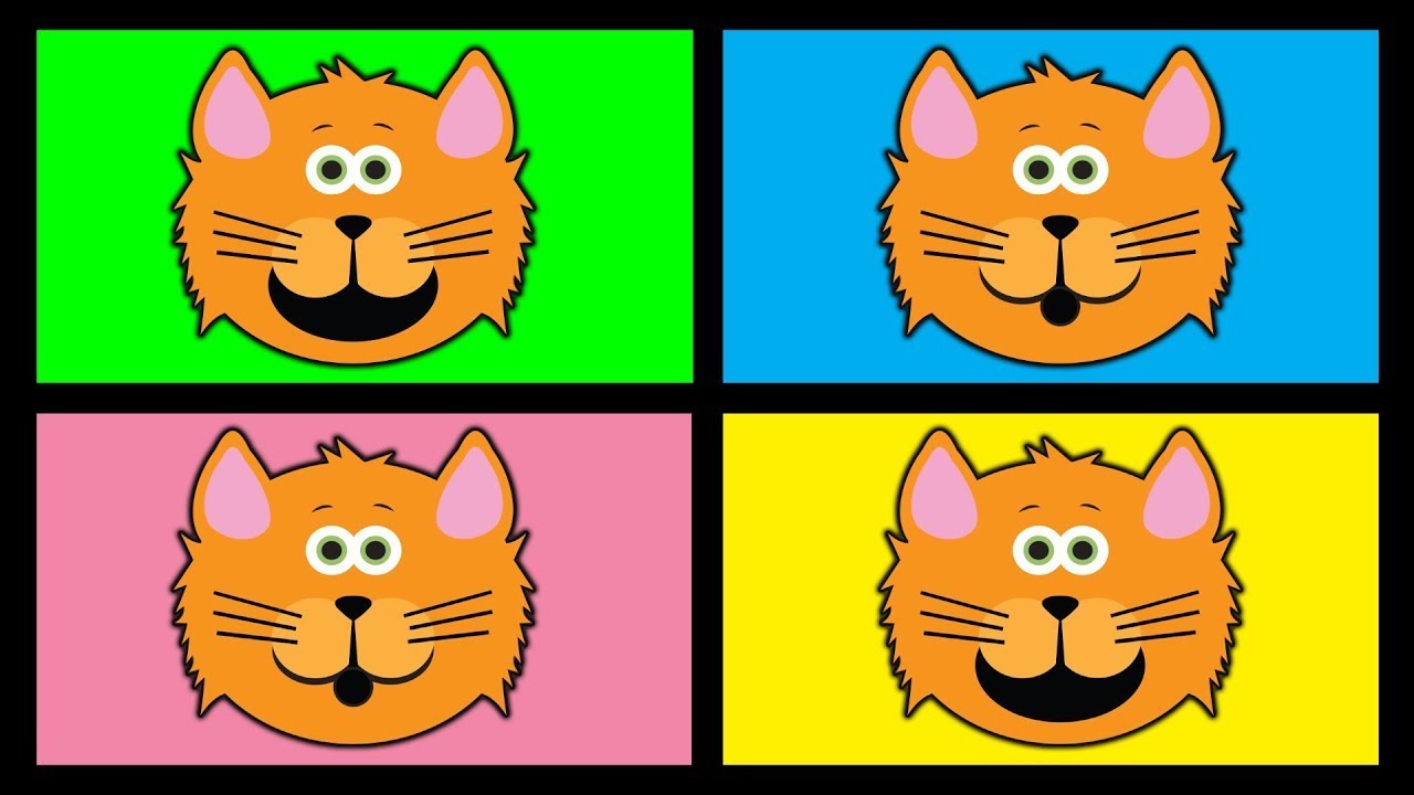 Meow Meow Meow And Meow | Kitty Cat Meow Songs - YouTube