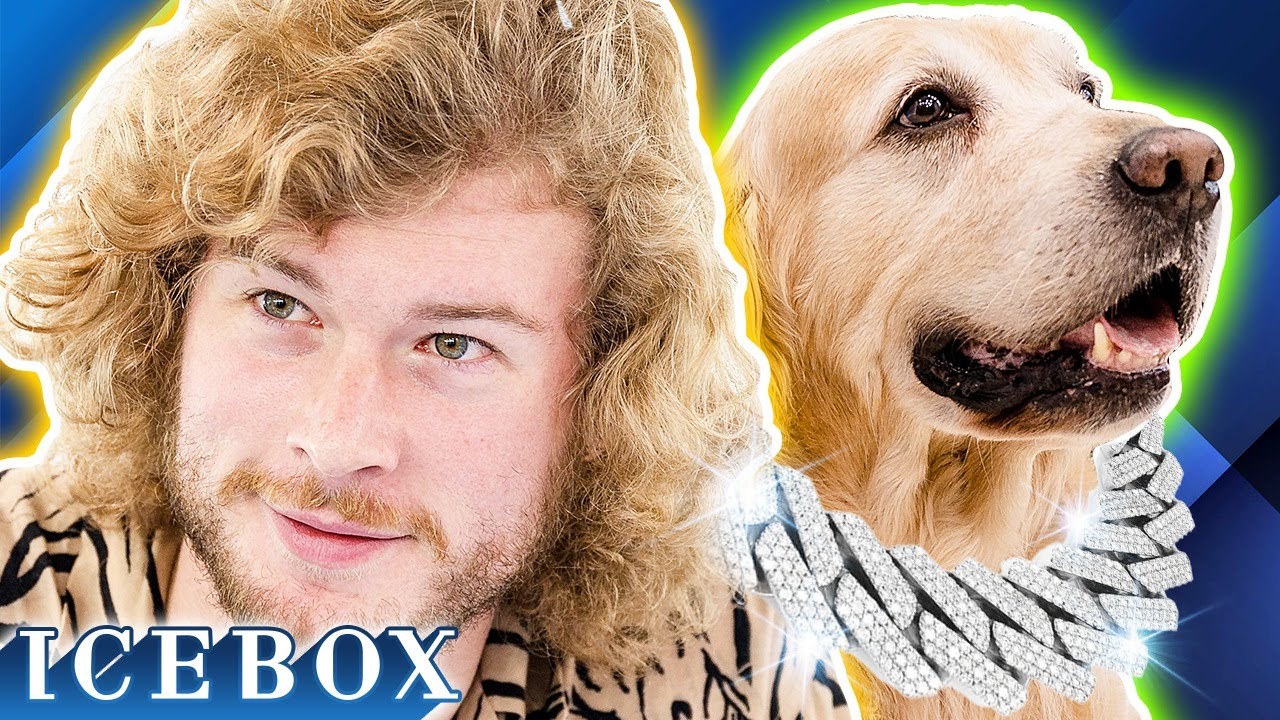 Yung Gravy Ices Out His Dawg at Icebox! 🐶 - YouTube