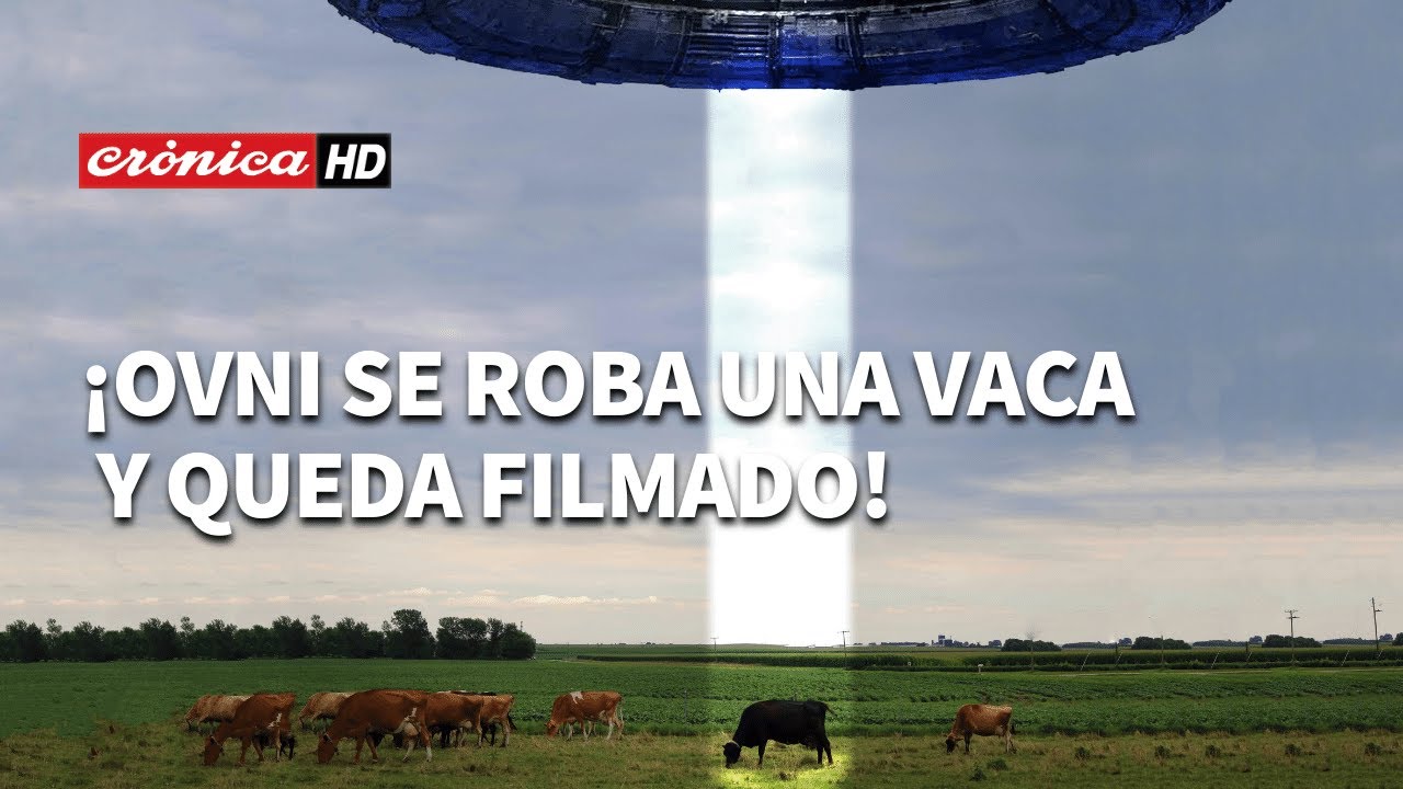 ¡OVNI se roba una vaca y queda filmado! - YouTube